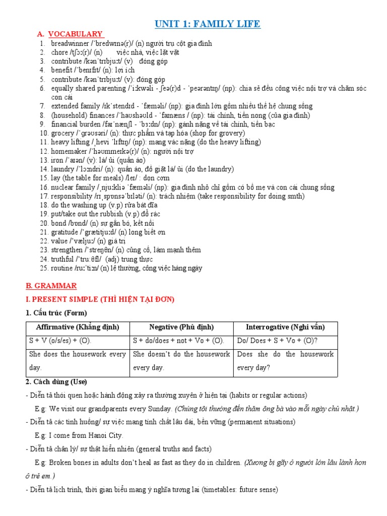 T V NG NG Pháp - UNIT 1-2-3 - L P 10 | PDF