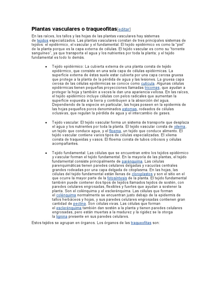 Plantas Vasculares o Traqueofitas | Descargar gratis PDF | Hoja ...