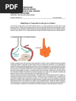 Componentes y riesgos del cigarro | PDF | Cigarrillo | Fumar