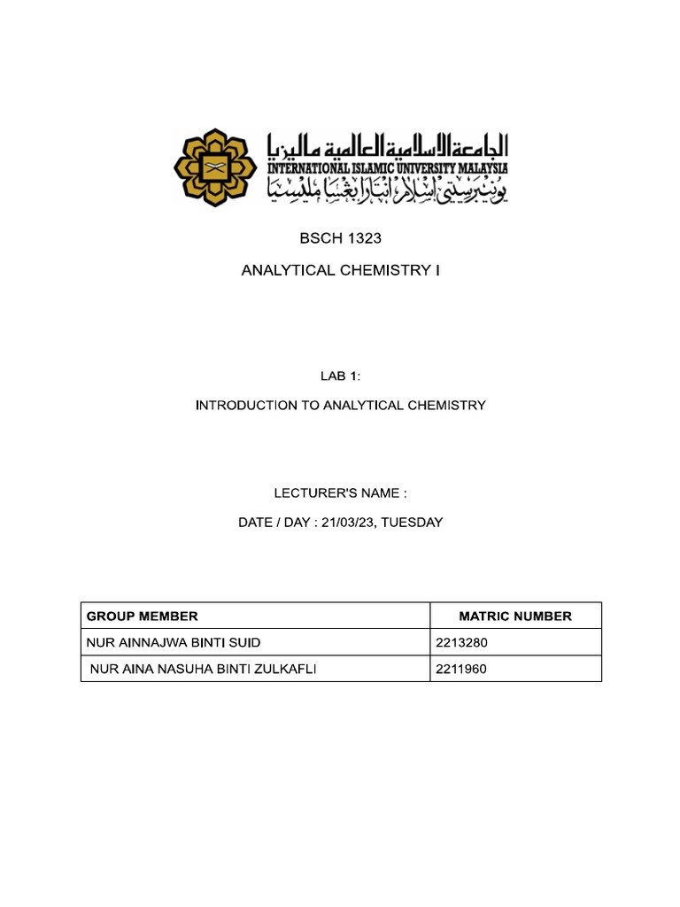 Lab Report 1 | PDF