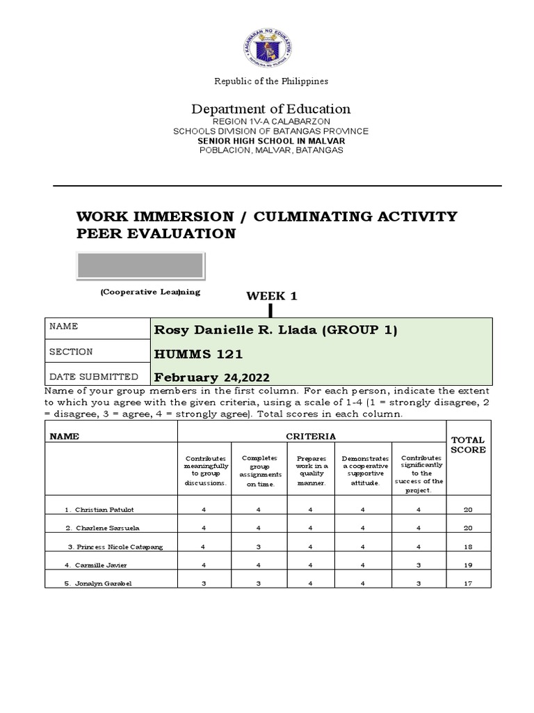 Work Immersion / Culminating Activity Peer Evaluation: Department of ...