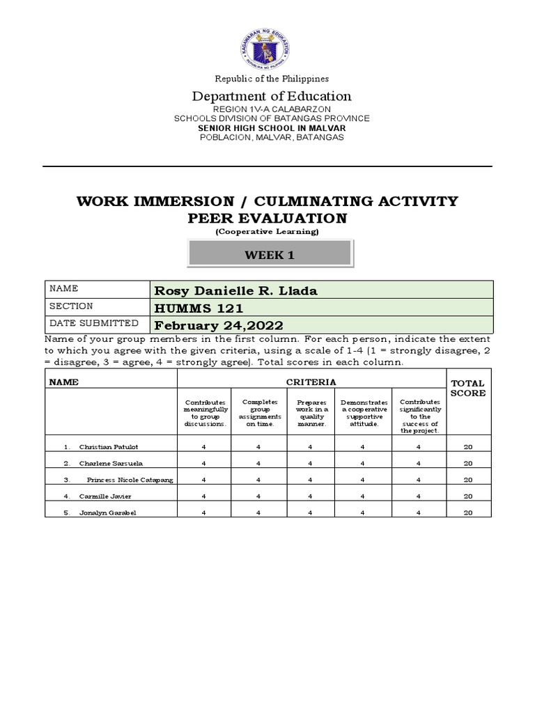 Work Immersion / Culminating Activity Peer Evaluation: Department of Education | PDF