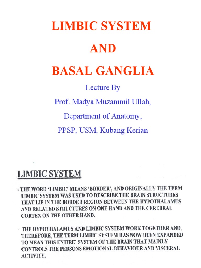 Limbic System & B.G. | PDF