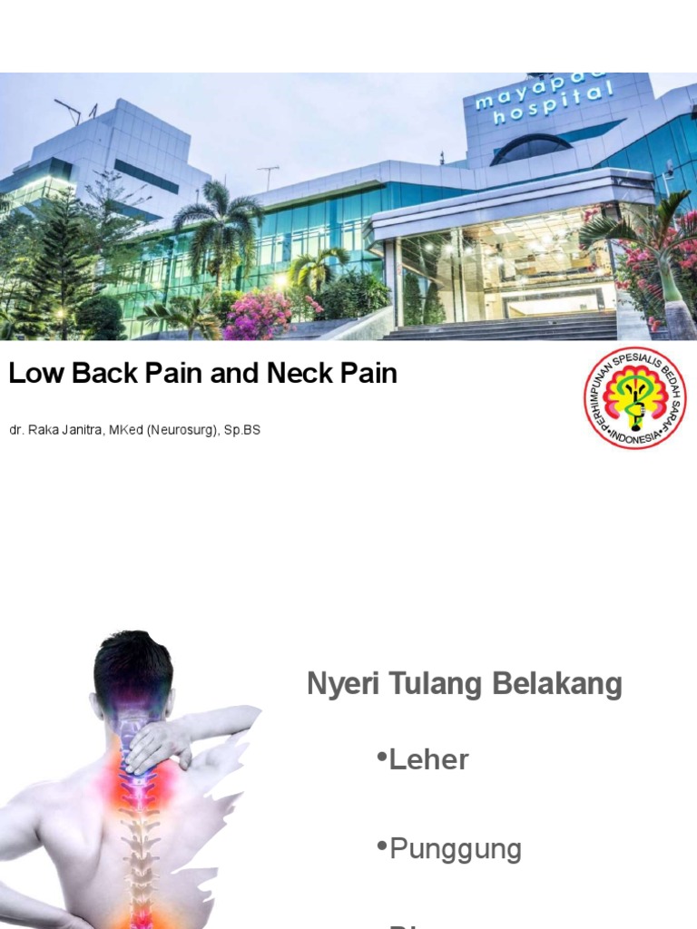 Low Back Pain Dan Neck Pain | PDF