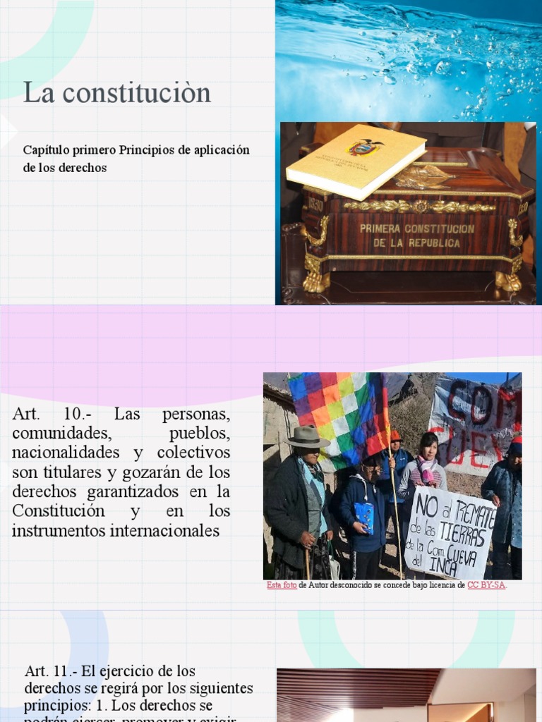 La Constituciòn Pdf Derechos Derechos Humanos