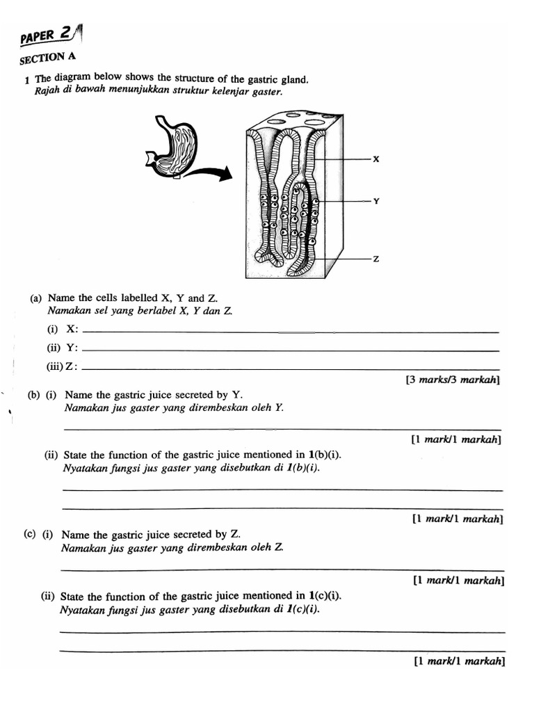 Topical Practice Bio P2 C9 - 1 | PDF