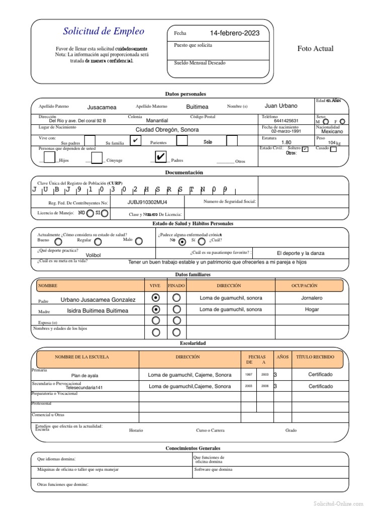 Formato Solicitud Empleo PDF Editable | PDF
