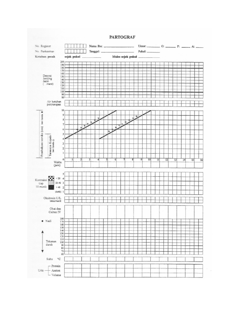 Format Partograf | PDF