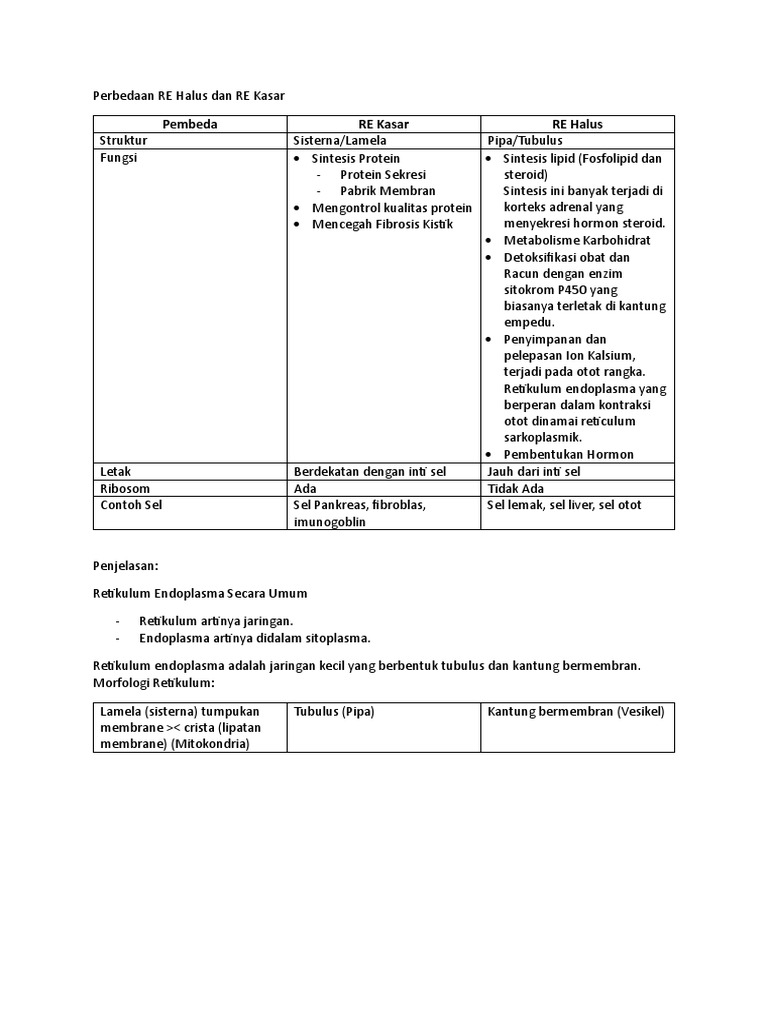 Perbedaan RE Halus Dan RE Kasar | PDF