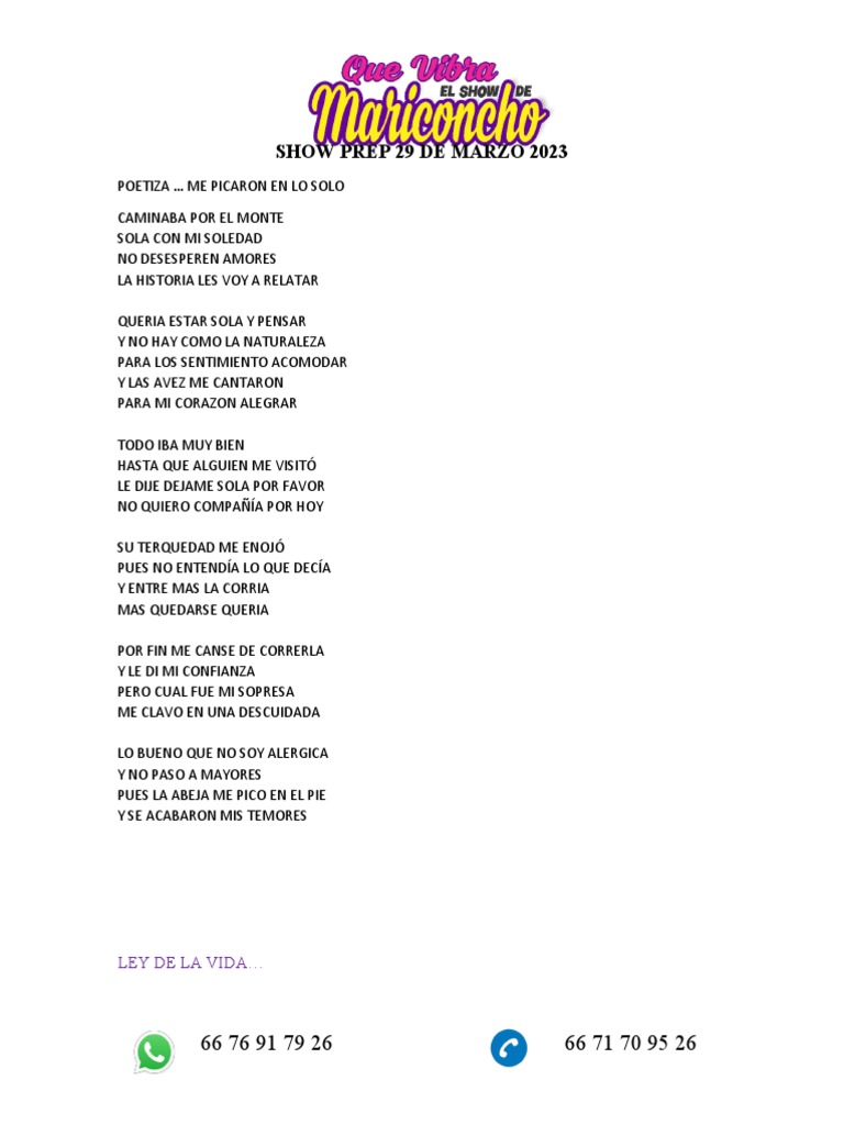 Show Prep para Radio | PDF