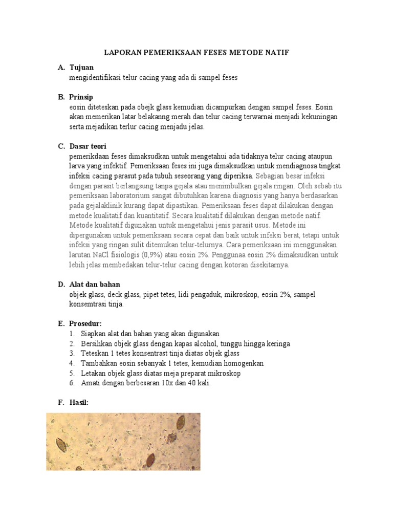 Laporan Pemeriksaan Feses Metode Natif | PDF