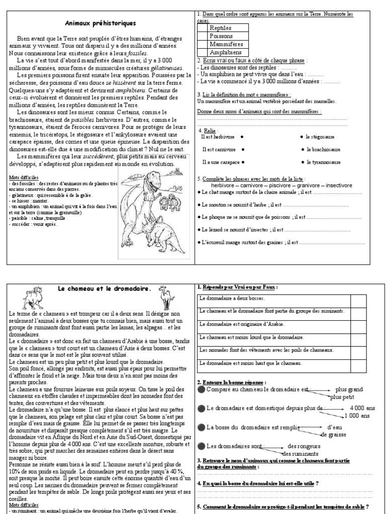 Lecture-Texte+questions - CE2-CM1 | PDF | Chameau | Reptile