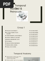 Mastoid X-Ray Positioning Techniques | PDF | Human Head And Neck ...