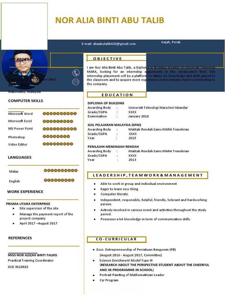 2 Resume Template Pdf Cognition