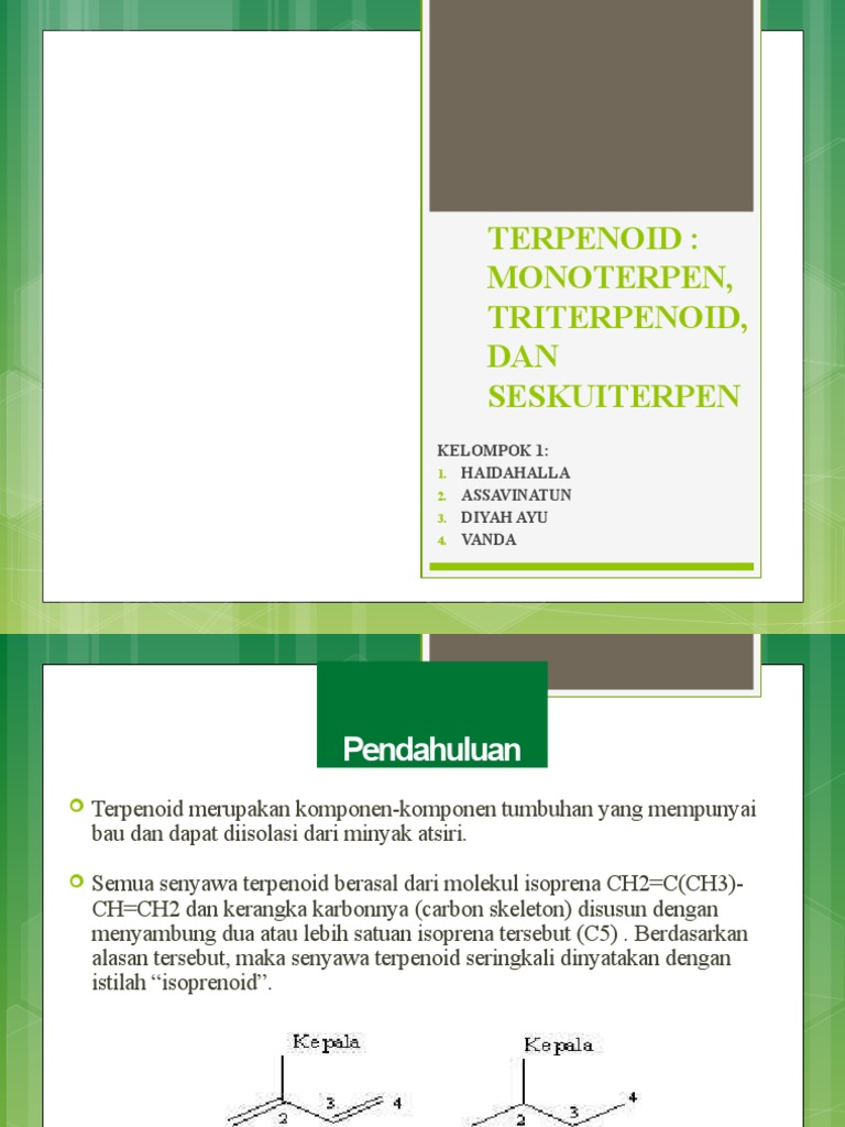 Terpenoid dan Klasifikasinya | PDF