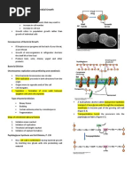 Streak Plate Method - Principle, Types, Methods, Uses | PDF ...