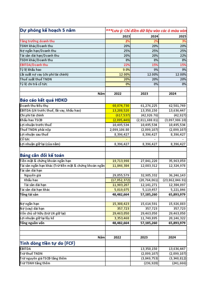MÔ HÌNH DCF (1) | PDF