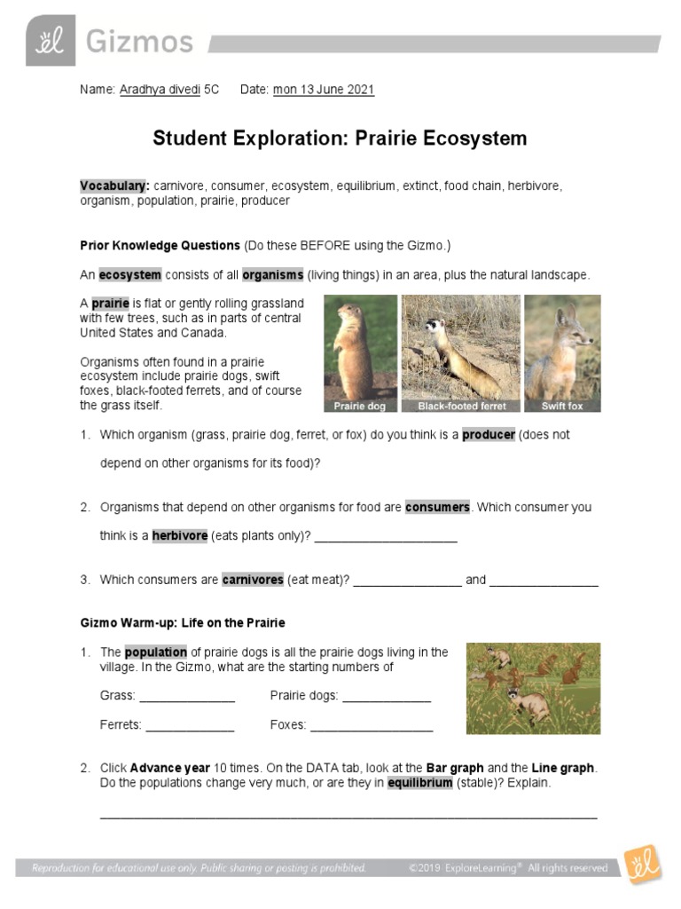 Student Exploration: Prairie Ecosystem | PDF | Prairie | Ecosystem