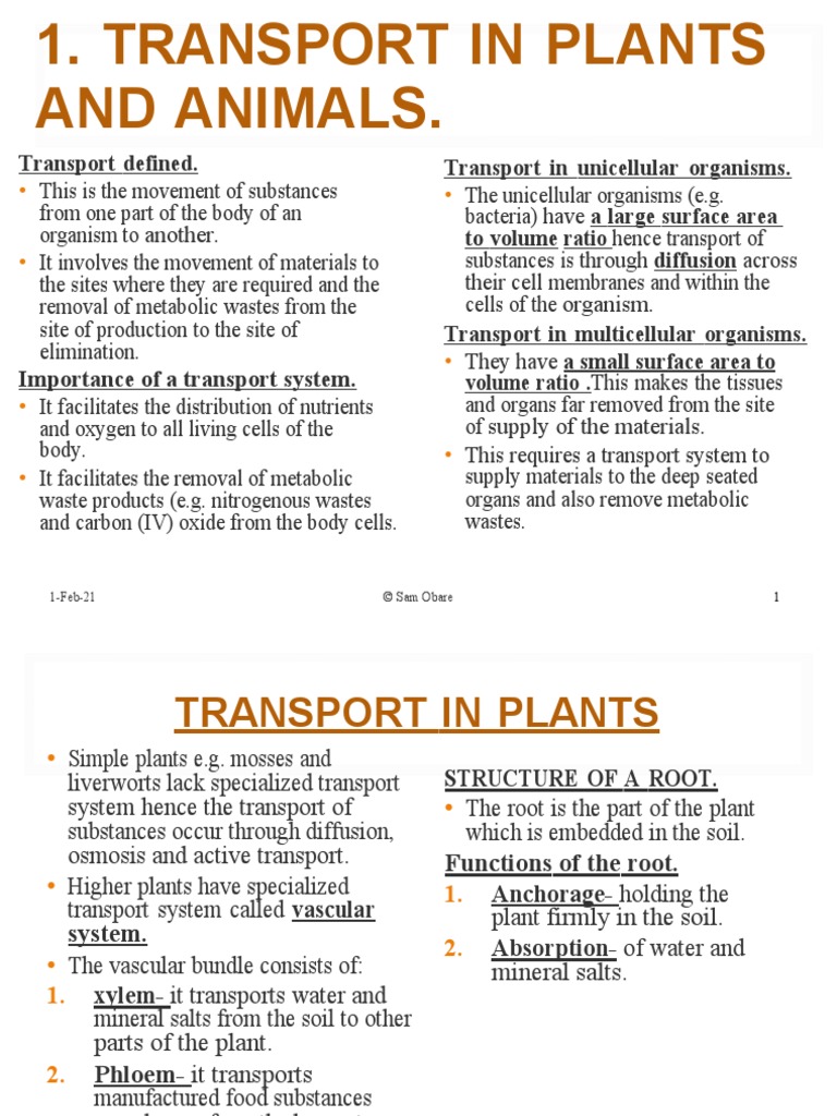 Transport in Plants and Animals. | PDF | Atrium (Heart) | Ventricle (Heart)