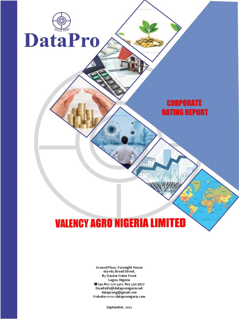 DataPro Rating | PDF | Credit Rating | Loans