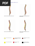 Costovertebral Angle Anatomy Overview | PDF | Vertebra | Vertebral Column