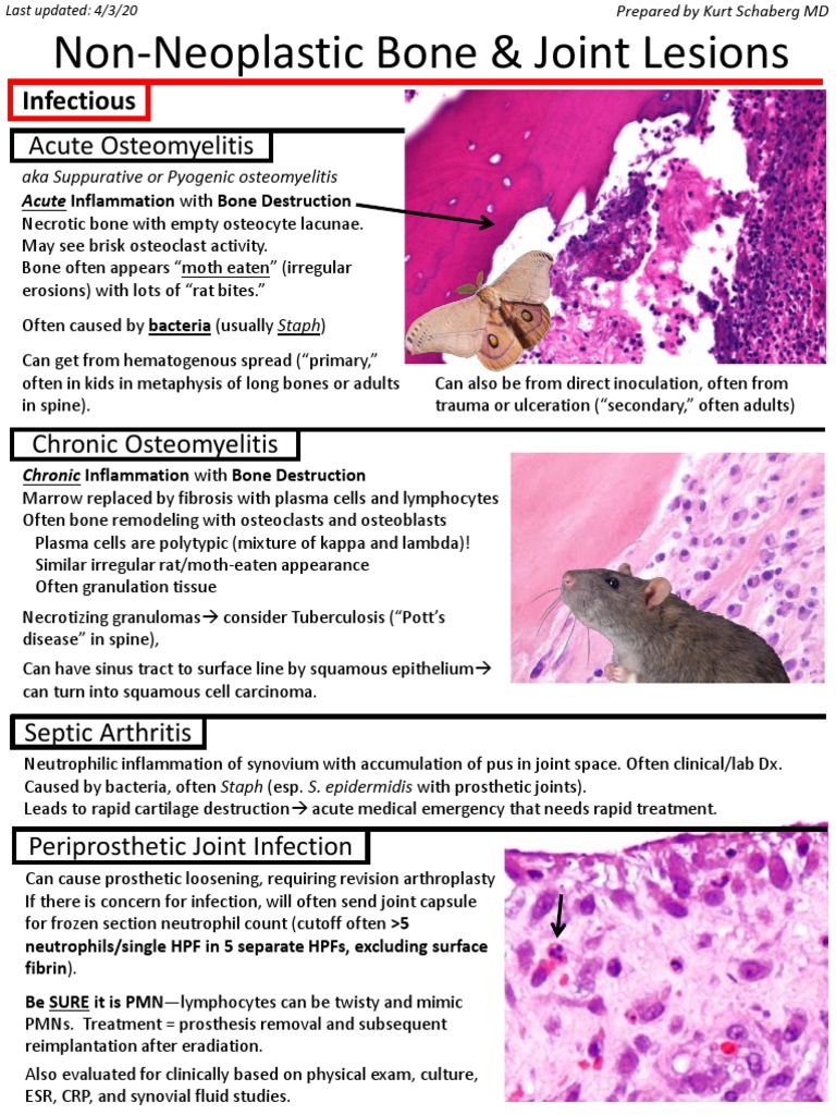 A Comprehensive Review of Common Non-Neoplastic Bone and Joint Lesions ...