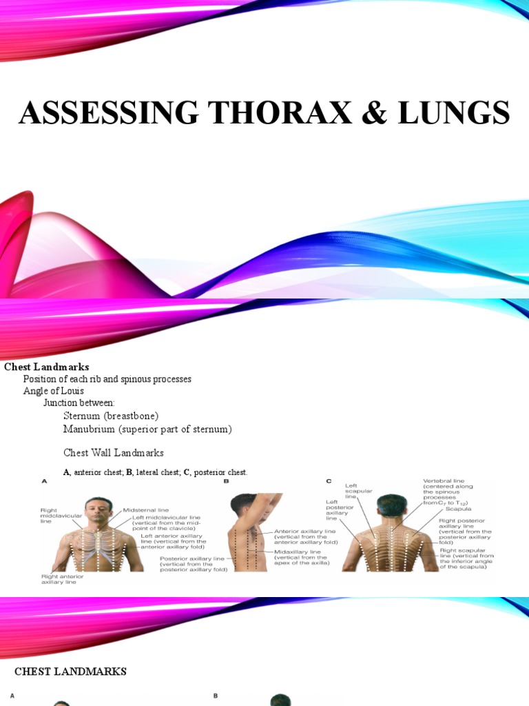 Assessing Thorax Lungs | PDF | Thorax | Lung