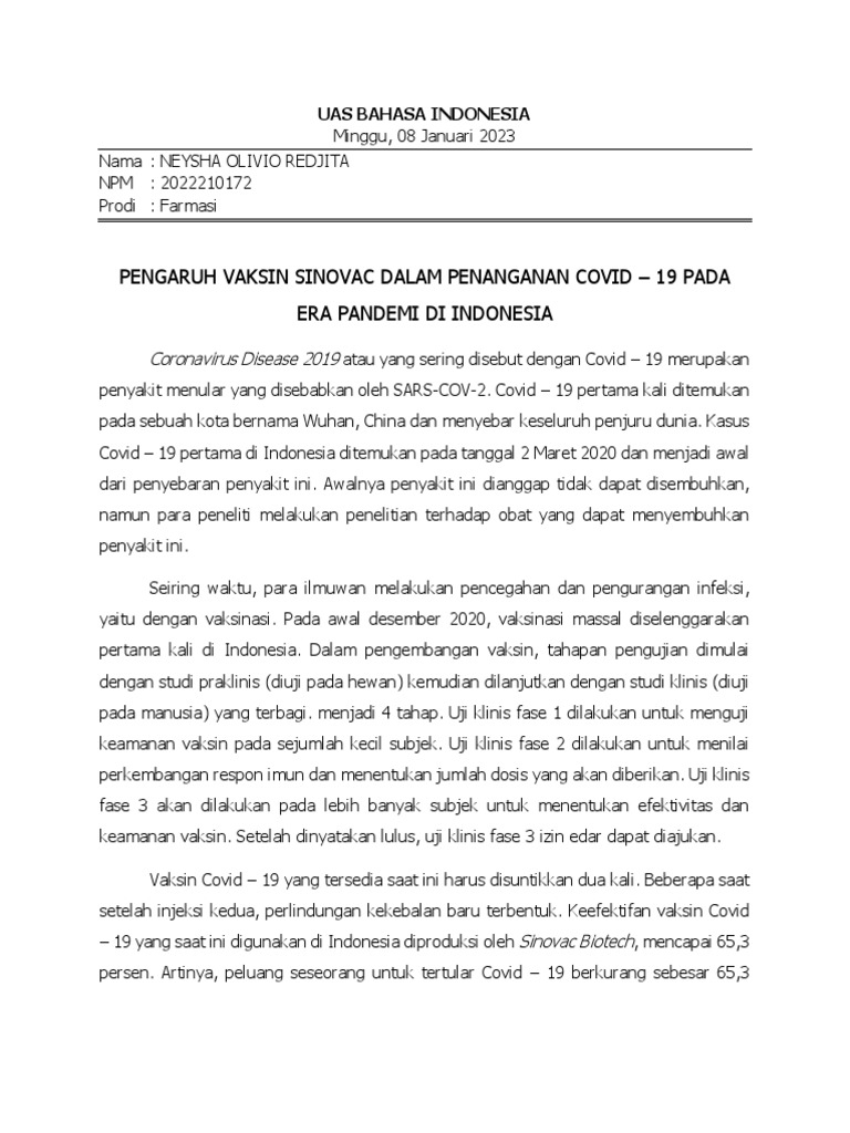 Essai Bahasa Indonesia | PDF