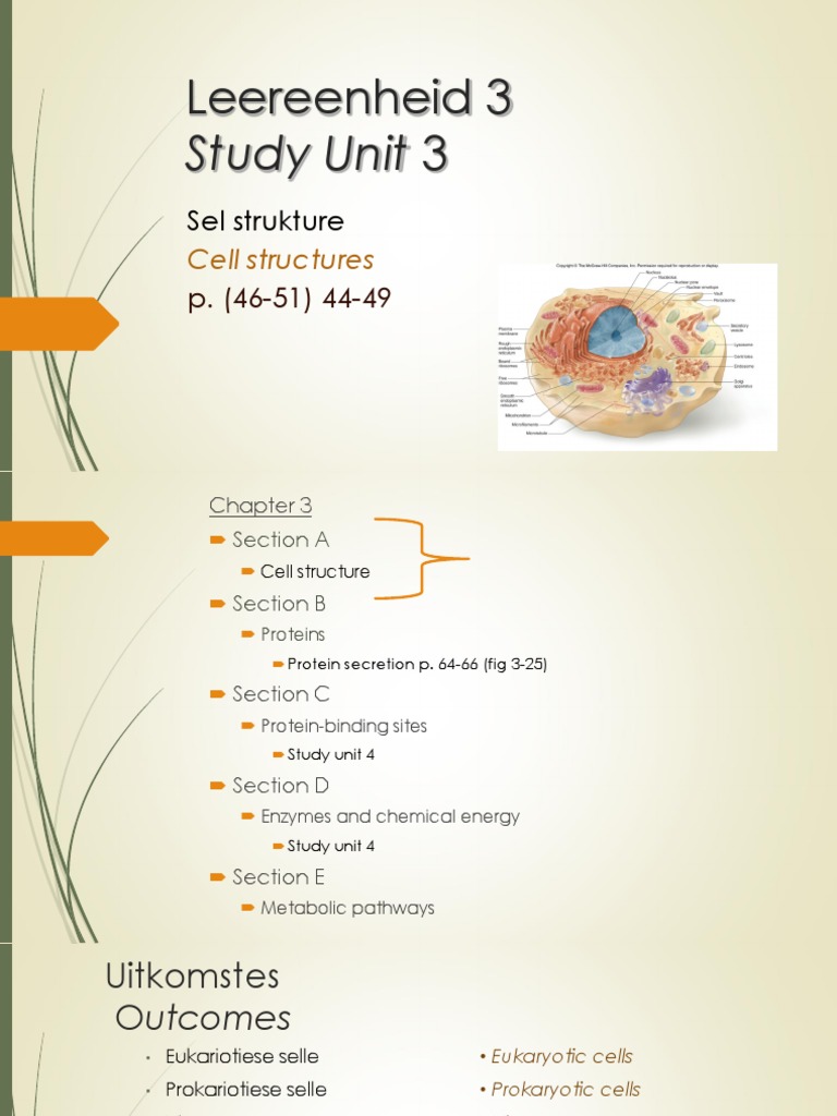 Cell Structures and Proteins Overview | PDF | Cell Membrane | Cytosol