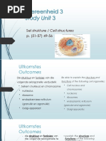 chloroplast labelled a level diagram | PDF | Chloroplast | Cell (Biology)