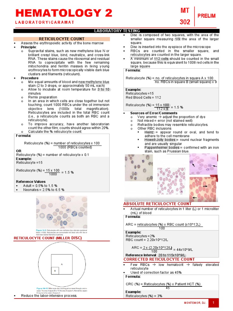 Assessing Erythropoiesis Through Reticulocyte Analysis | PDF | White ...