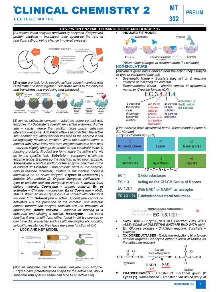 CC2 Lec Prelim | PDF | Enzyme | Enzyme Inhibitor