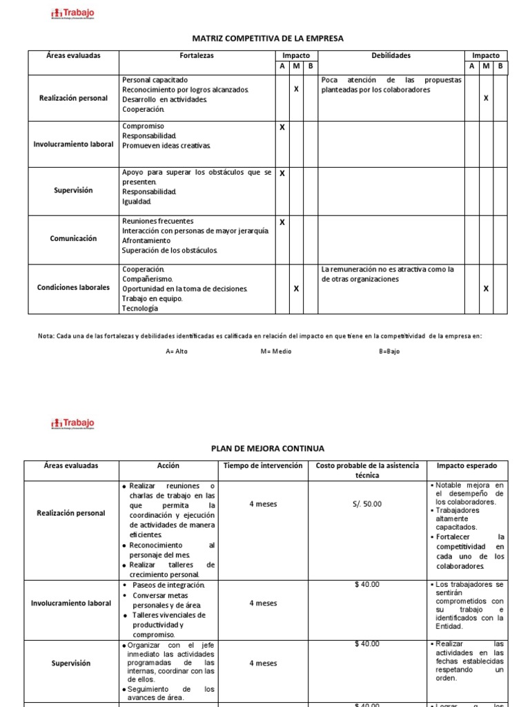 Matriz Competitiva y Plan de Mejora | PDF