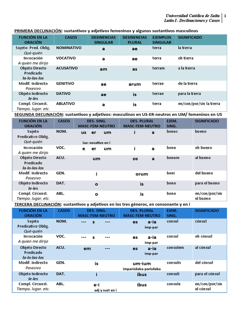 Casos Declinaciones Desinencias | PDF | Ciencia cognitiva | Mecánica ...