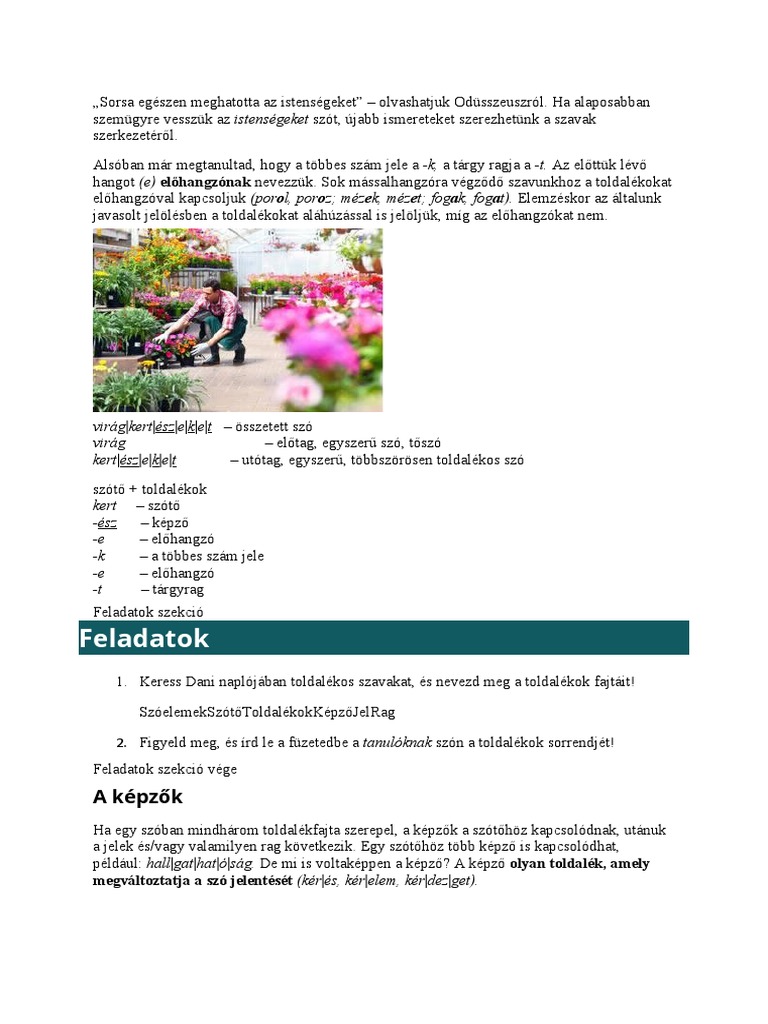 Nyelvtan Viszonyszó STB | PDF