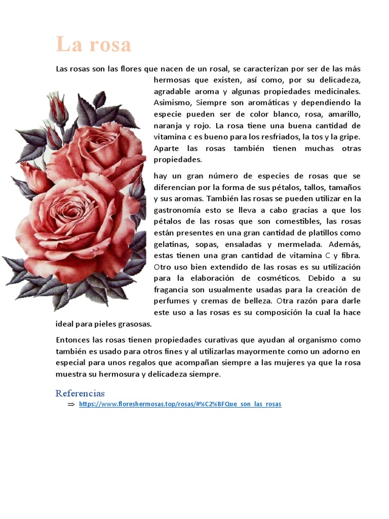 La Rosa | PDF