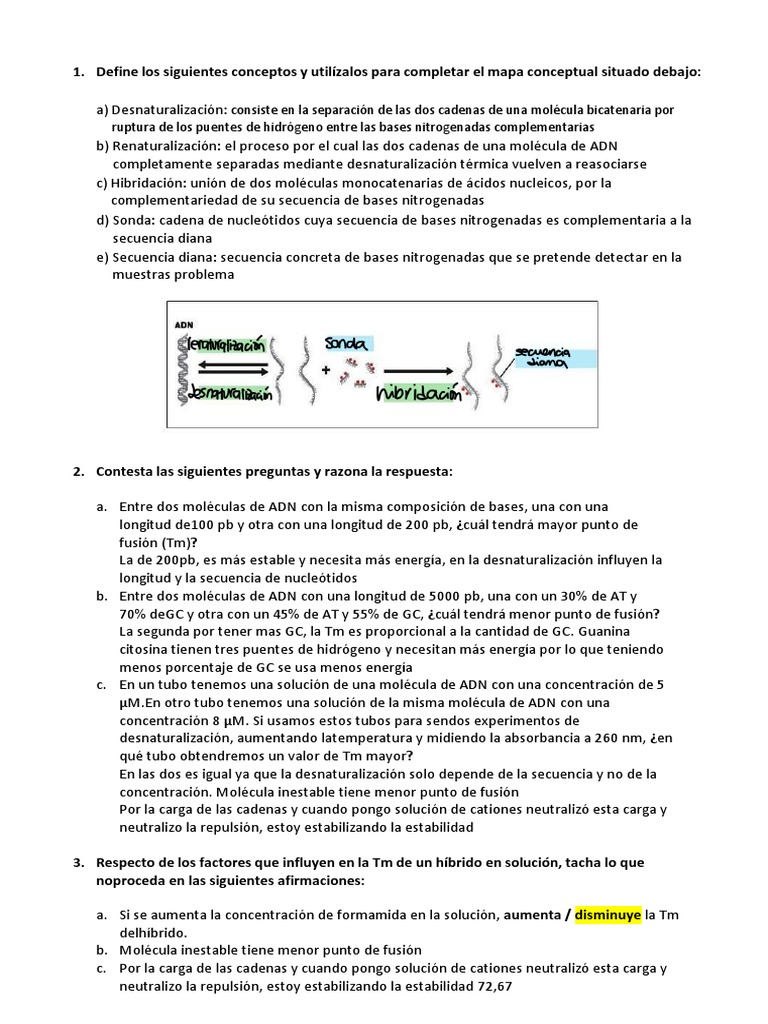Ejercicios Bio Hechos | PDF | Adn | Hibridación de ácido nucleico