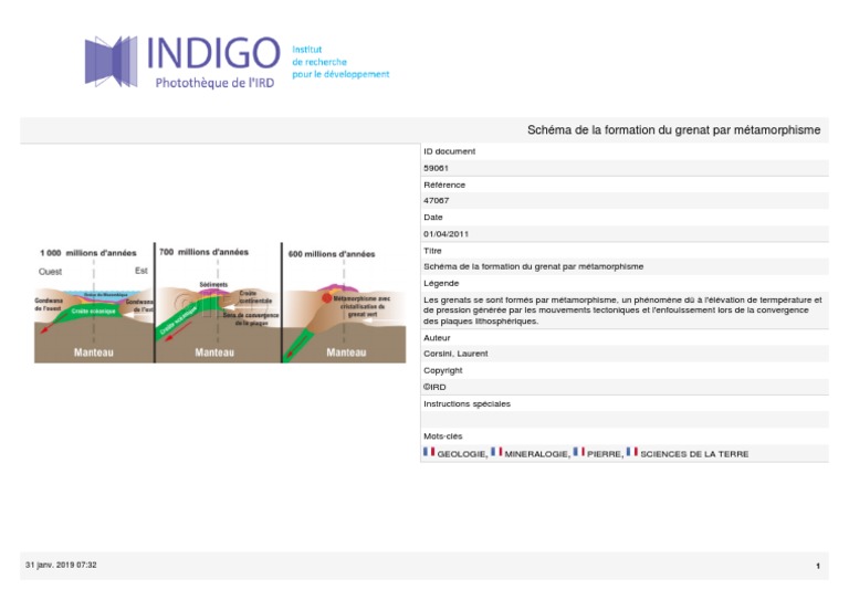 Schema Formation | PDF