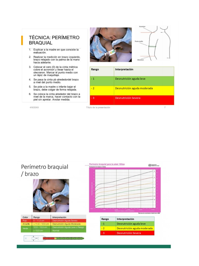 Documento Perimetro Braquial | PDF