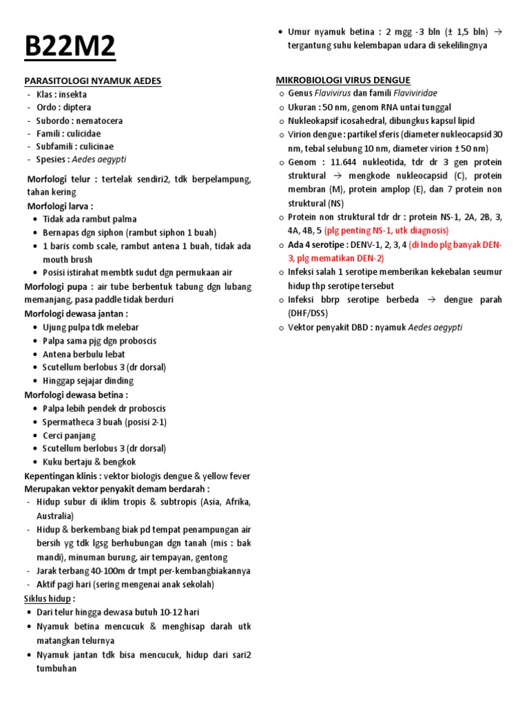 B22M2 Dengue (Catatan Soca) | PDF