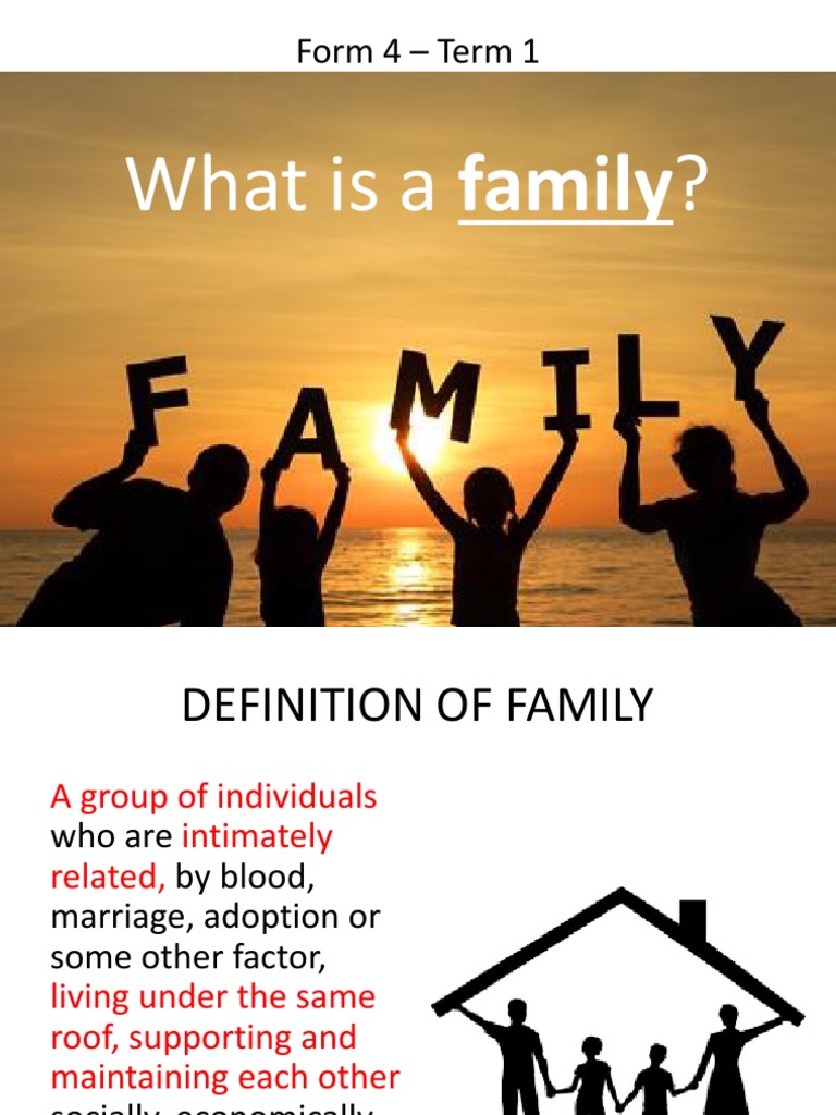 l1 Family Intro Unions Functions Types Classifications | PDF