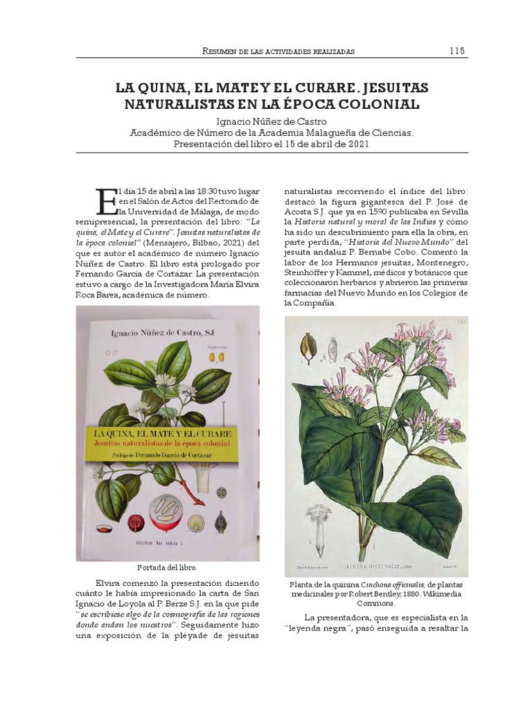 Quina/mate/curare | PDF | Ciencias sociales