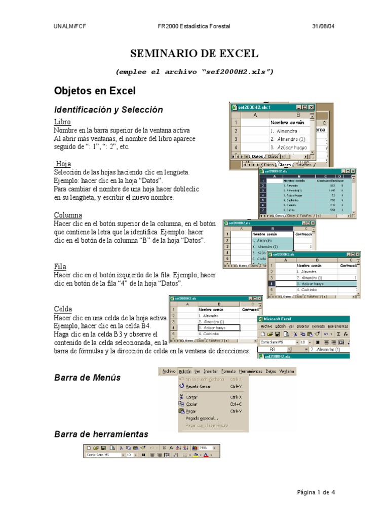Guia Practica de Excel Elemental | PDF | Microsoft Excel | Software