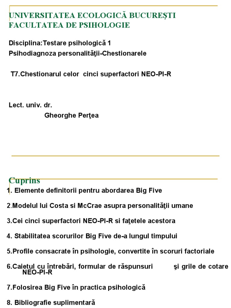 T9.big Five, Neo Pi R | PDF