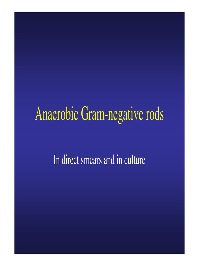 Anaerobic Gram Negative Rods | PDF