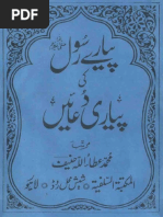 Peer e Kamil Hin | PDF