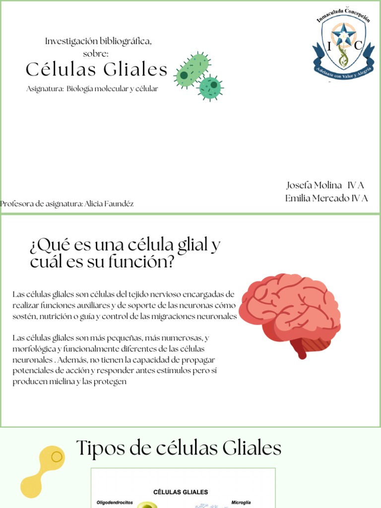 Funciones y Tipos de Células Gliales | PDF