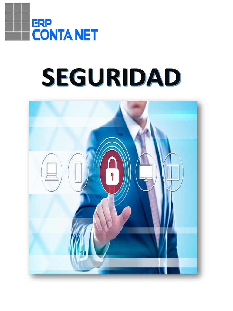 Manual - Seguridad Erp | PDF | Usuario (informática) | Contraseña