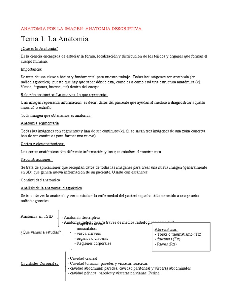 Tema 1 Anatomia Descargar Gratis Pdf Términos Anatómicos De