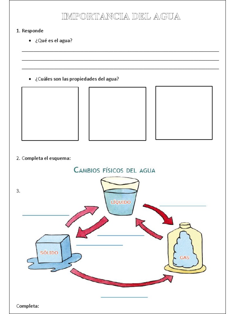 Ficha Importancia Del Agua | PDF